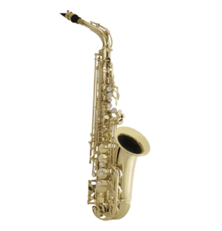 Altsaxophone bei Musik - Ebert in Konstanz. Yamaha, Selber, Yanagisawa, P. Mauriac, Roy Benson ...